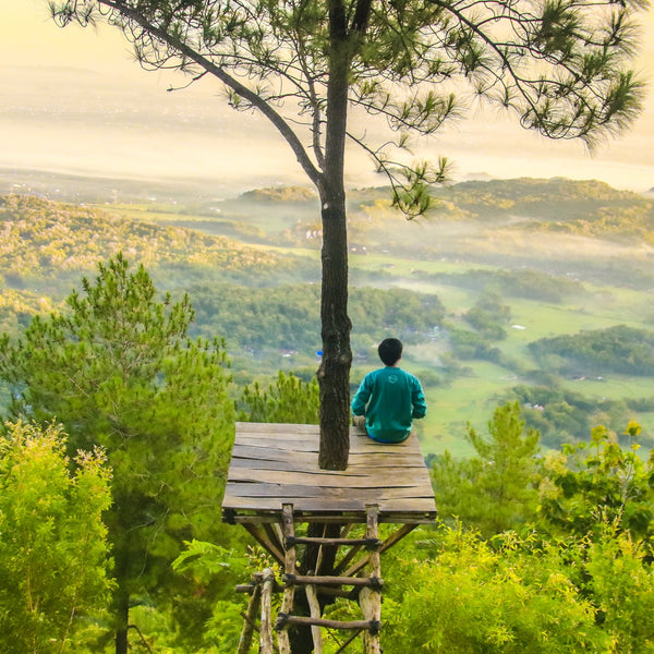 Meditation Painting Classes